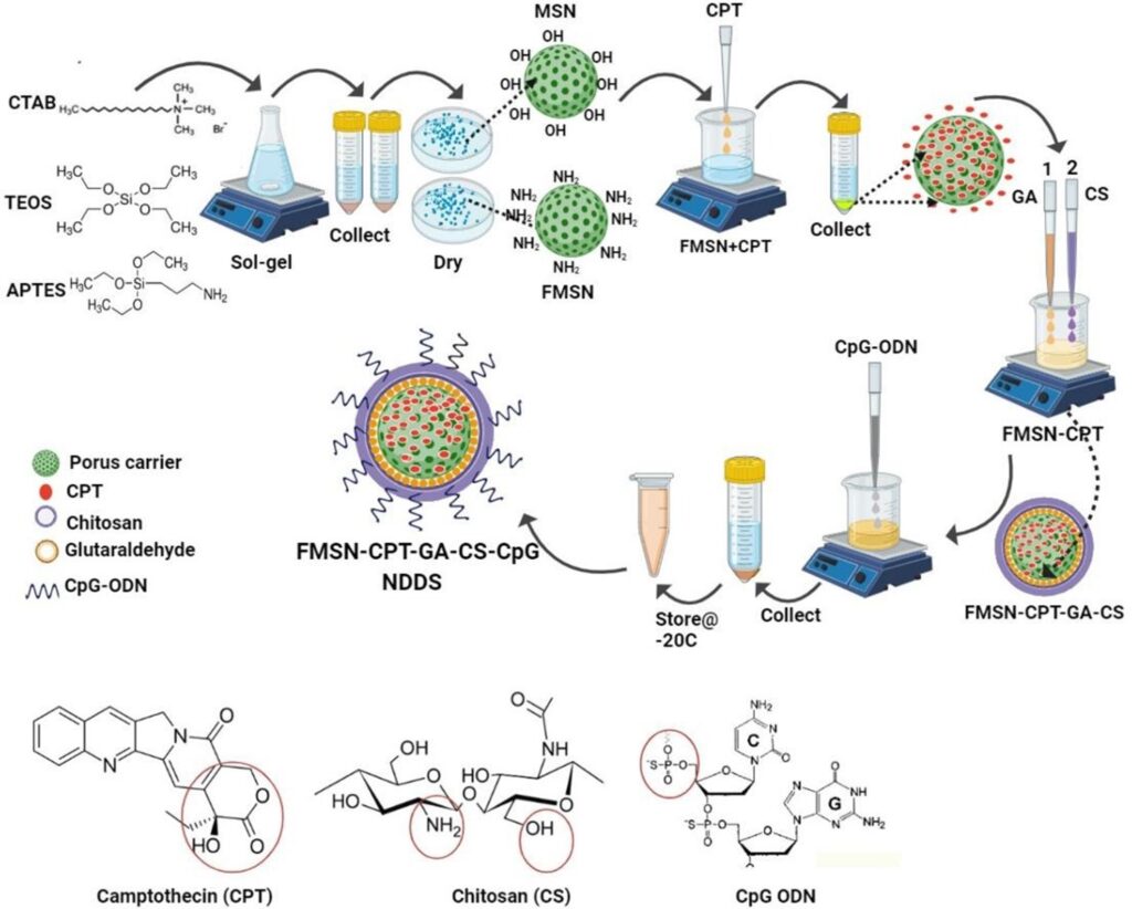 Camptothecin-loaded mesoporous silica nanoparticles functionalized with ...